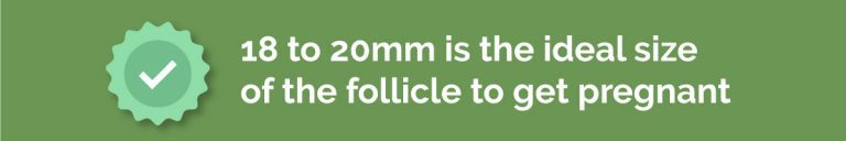 Follicular Study Scan: A Complete Useful Guide