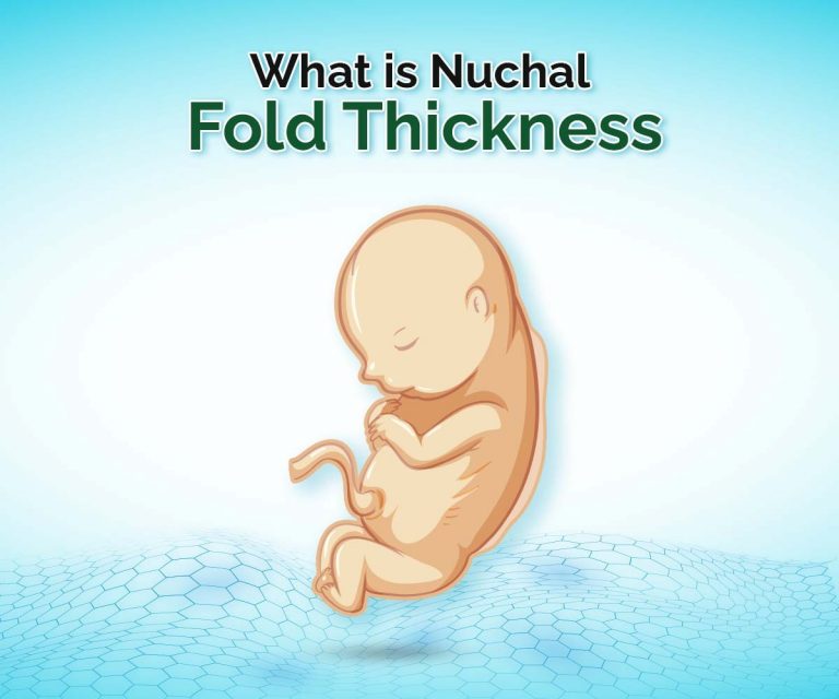 Nuchal Fold Thickness: What Every Expecting Mom Must Know