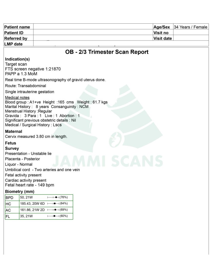 Anomaly Scan Report Normal 20 24 Weeks