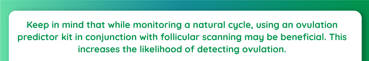 Follicular Study Ovulation: An Important Guide in 2023
