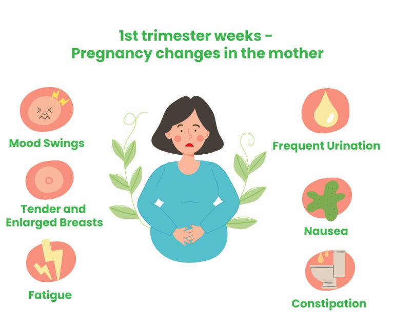 Incredible 1st Trimester Weeks - Surprising Pregnancy Changes in the Mother