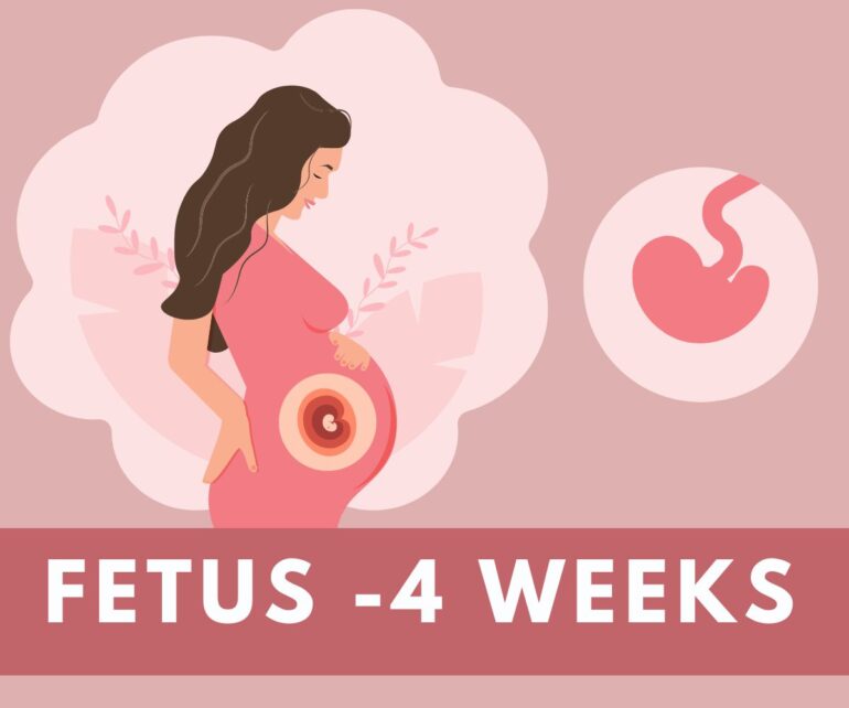 Pregnancy Symptoms Week by Week: 1- 40 Weeks - A Complete Guide