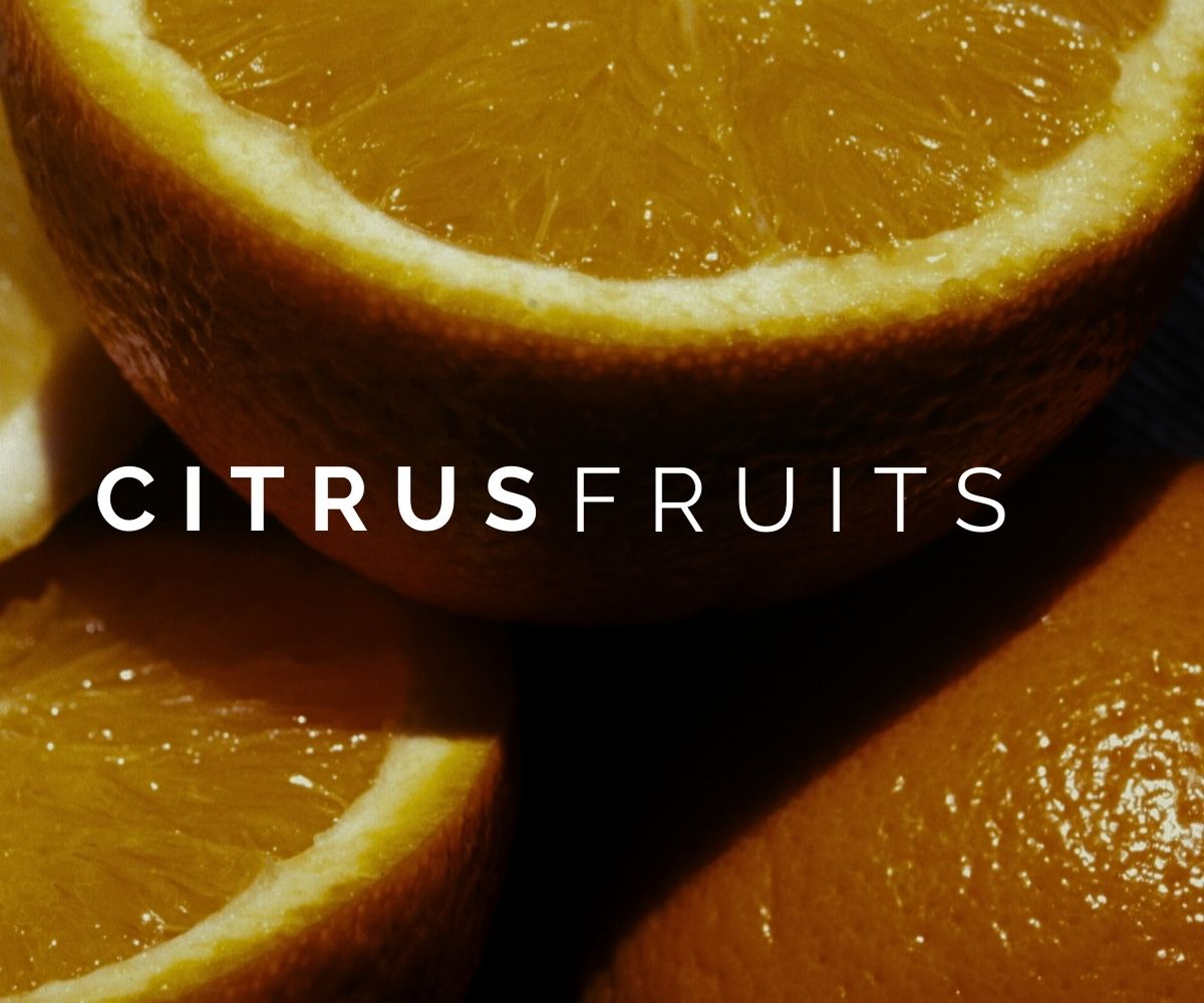 10 Best Foods That Increase Fertility - Boost Your Fertility Naturally