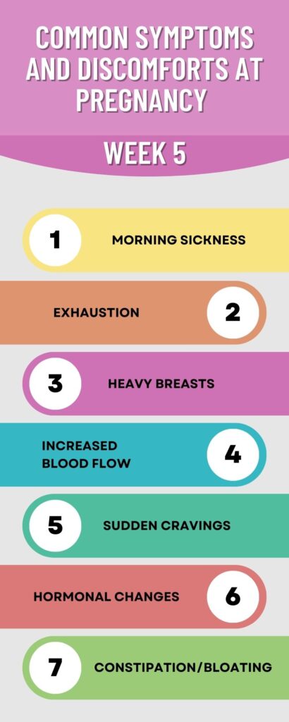 Pregnancy Week 5 Guide: Discover the Symptoms, Changes in Mother's Body