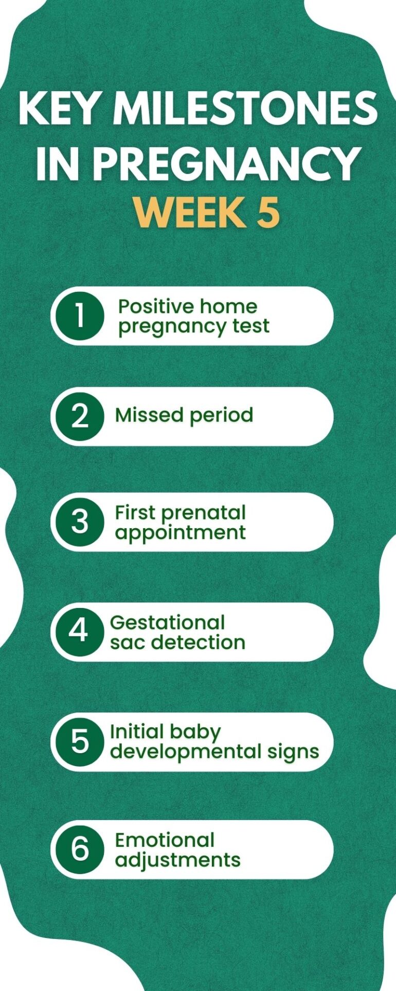 Pregnancy Week 5 Guide: Discover the Symptoms, Changes in Mother's Body