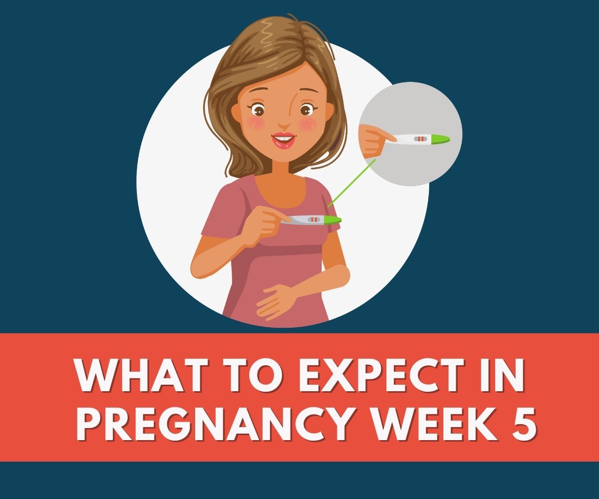 Pregnancy Week 5 Guide: Discover the Symptoms, Changes in Mother's Body