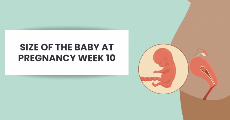 Pregnancy Week 10: A Complete Guide to Symptoms, Growth, and Body Changes