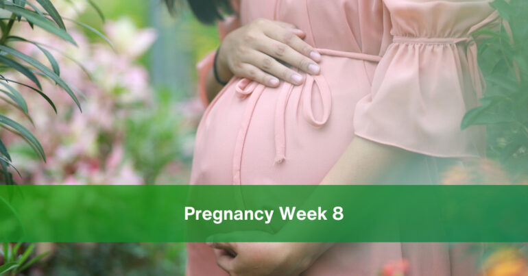 Pregnancy Week 8: A Comprehensive Guide to Maternal Changes