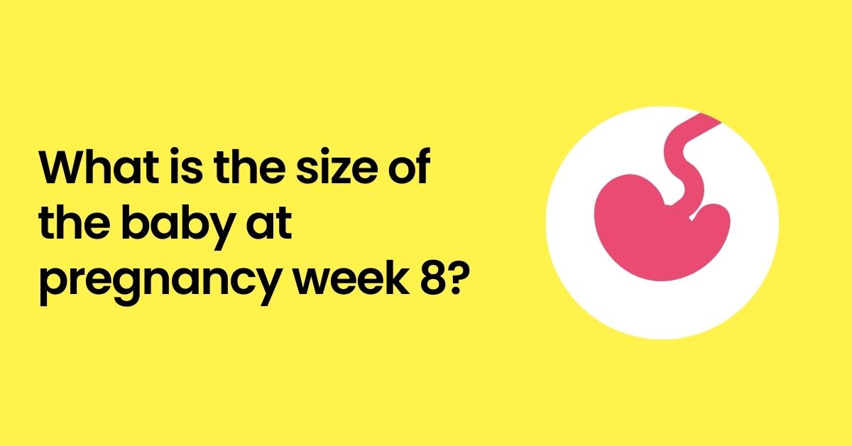 Pregnancy Week 8: A Comprehensive Guide to Maternal Changes
