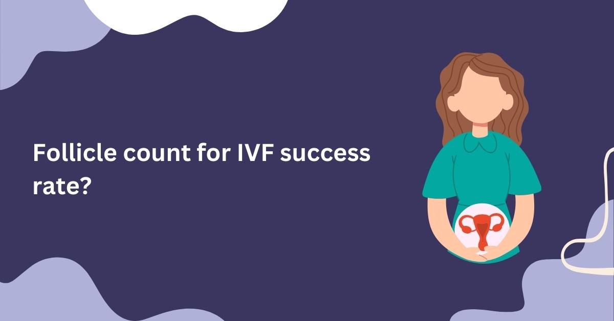 5 Prominent Steps To Increase Antral Follicle Count