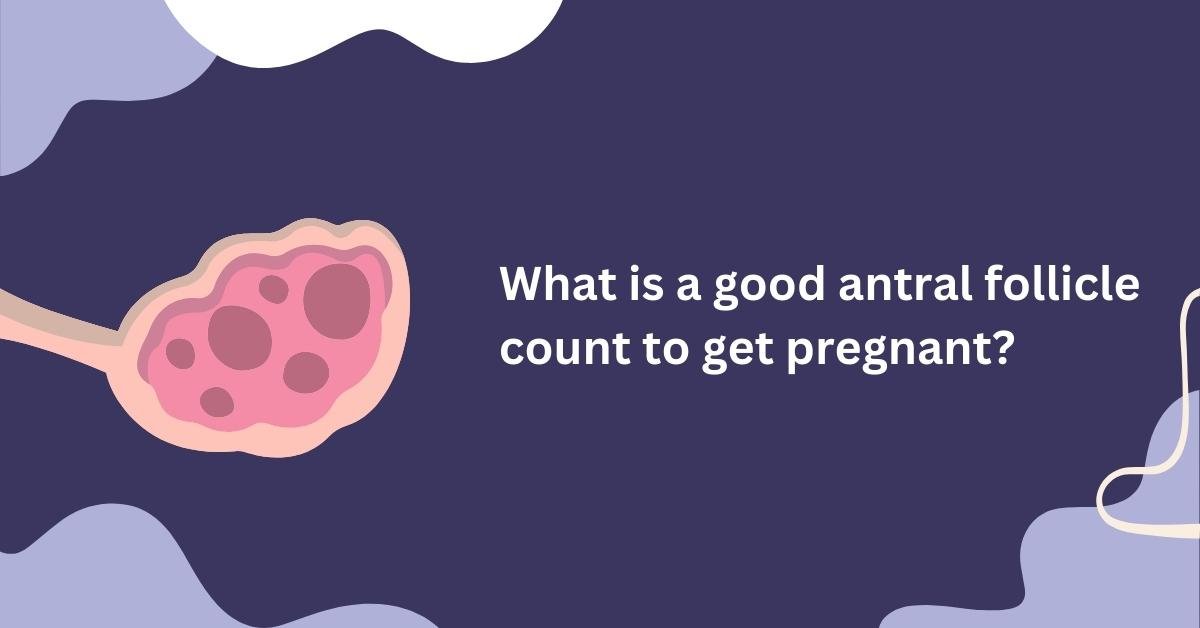 5 Prominent Steps To Increase Antral Follicle Count