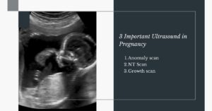 3 Important Ultrasound in Pregnancy: Monitoring Fetal Development