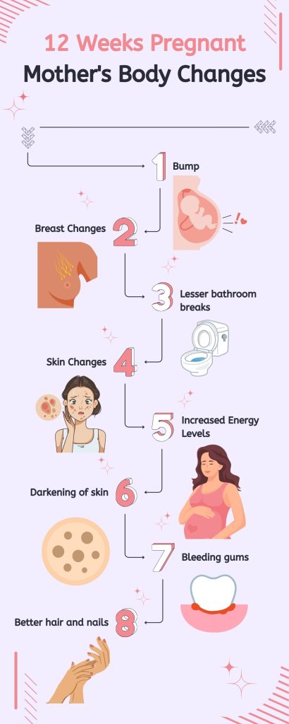 12 Weeks Pregnant: Body Changes, Symptoms, and Fetal Growth