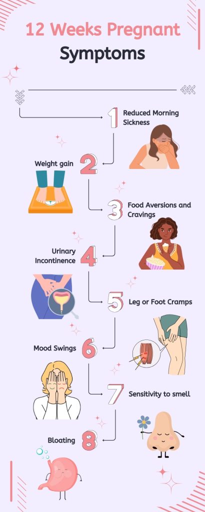 12 Weeks Pregnant: Body Changes, Symptoms, and Fetal Growth